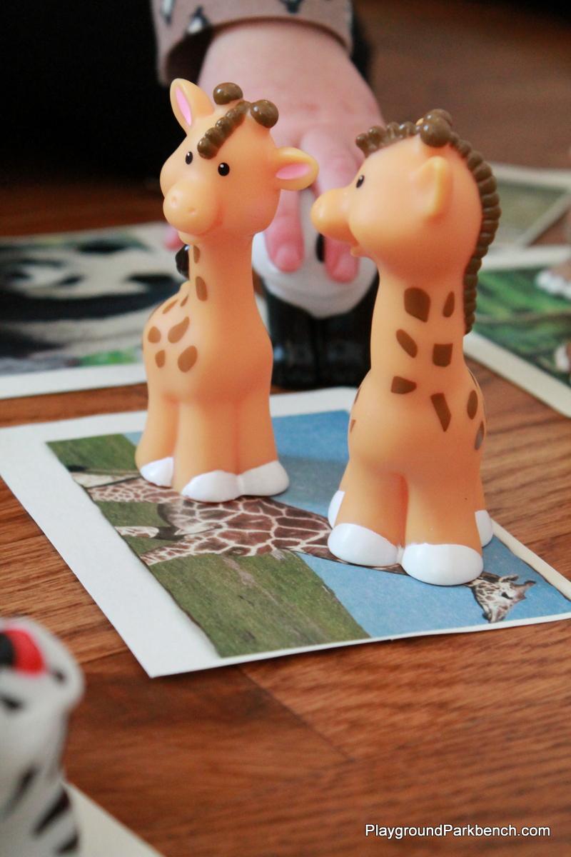 Montessori Animal Match