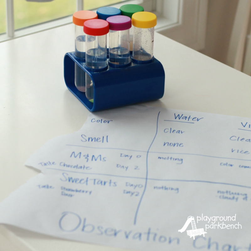 Science Experiments with Candy