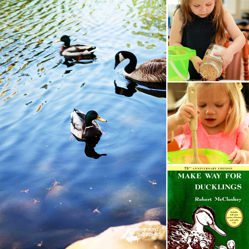 Make Way For and Feed the Ducklings