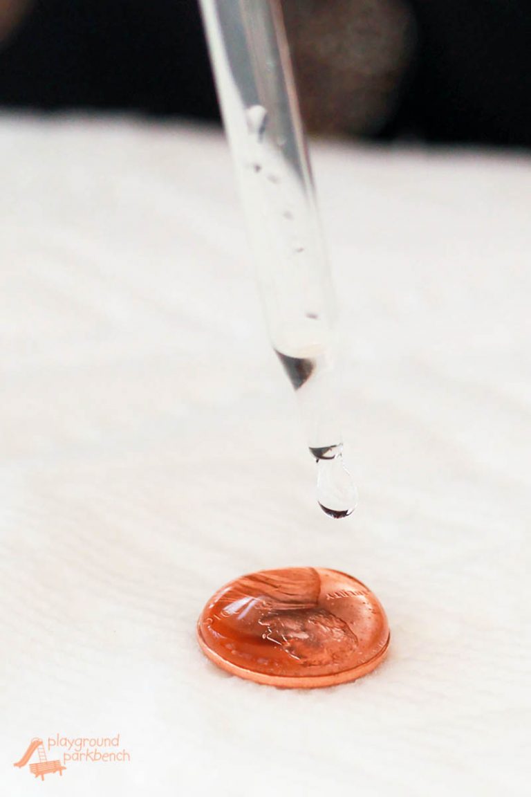 Drops on a Coin: A Preschool STEM Activity