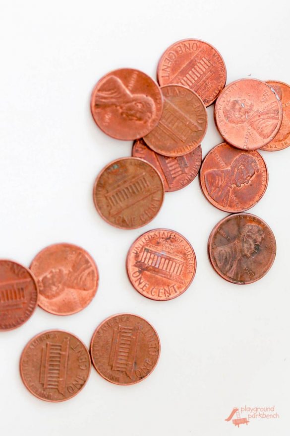Clean Coins: A Quick STEM Activity for Preschool